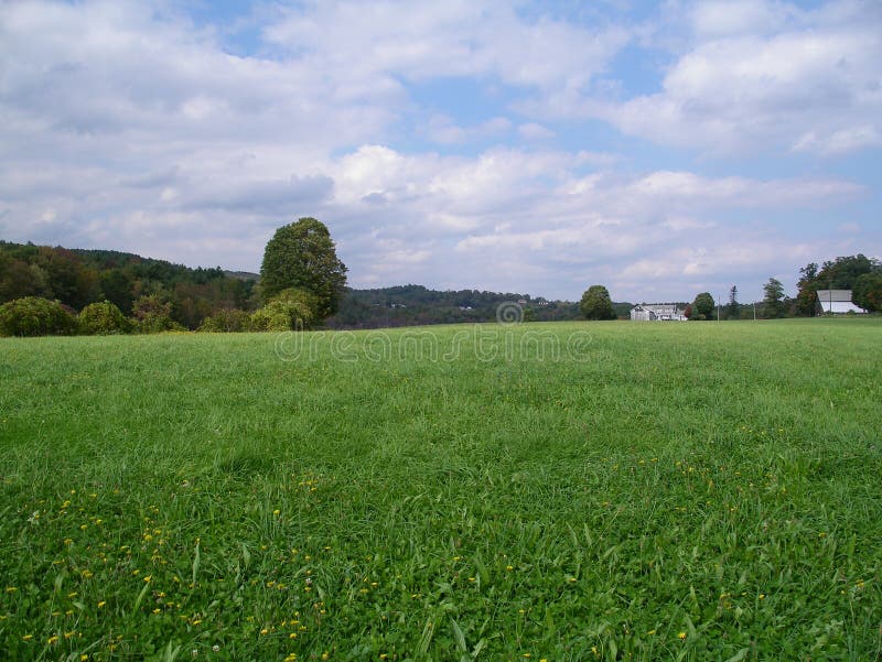 High Field with Dandelions stock photo. Image of timeless - 1295982