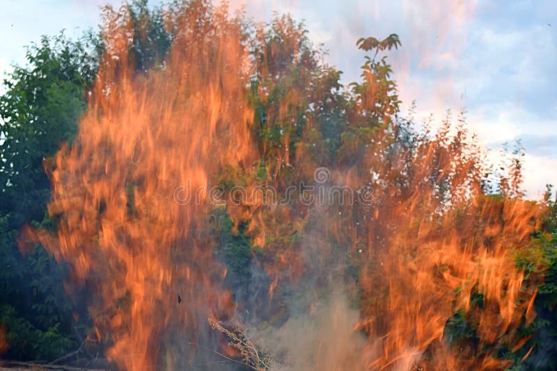 High Flames on the Background of Trees and Sky Stock Photo - Image of ...