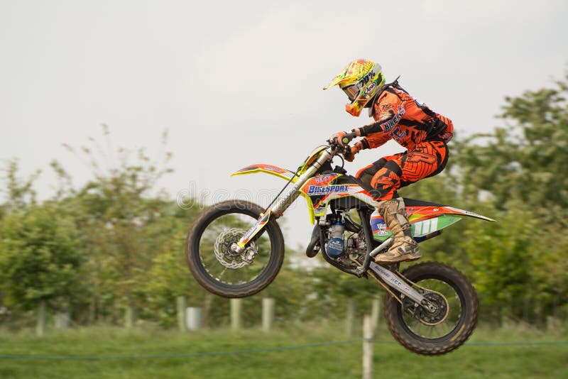 Its to High stock image. Image of domestic, active, hurdle - 24489059