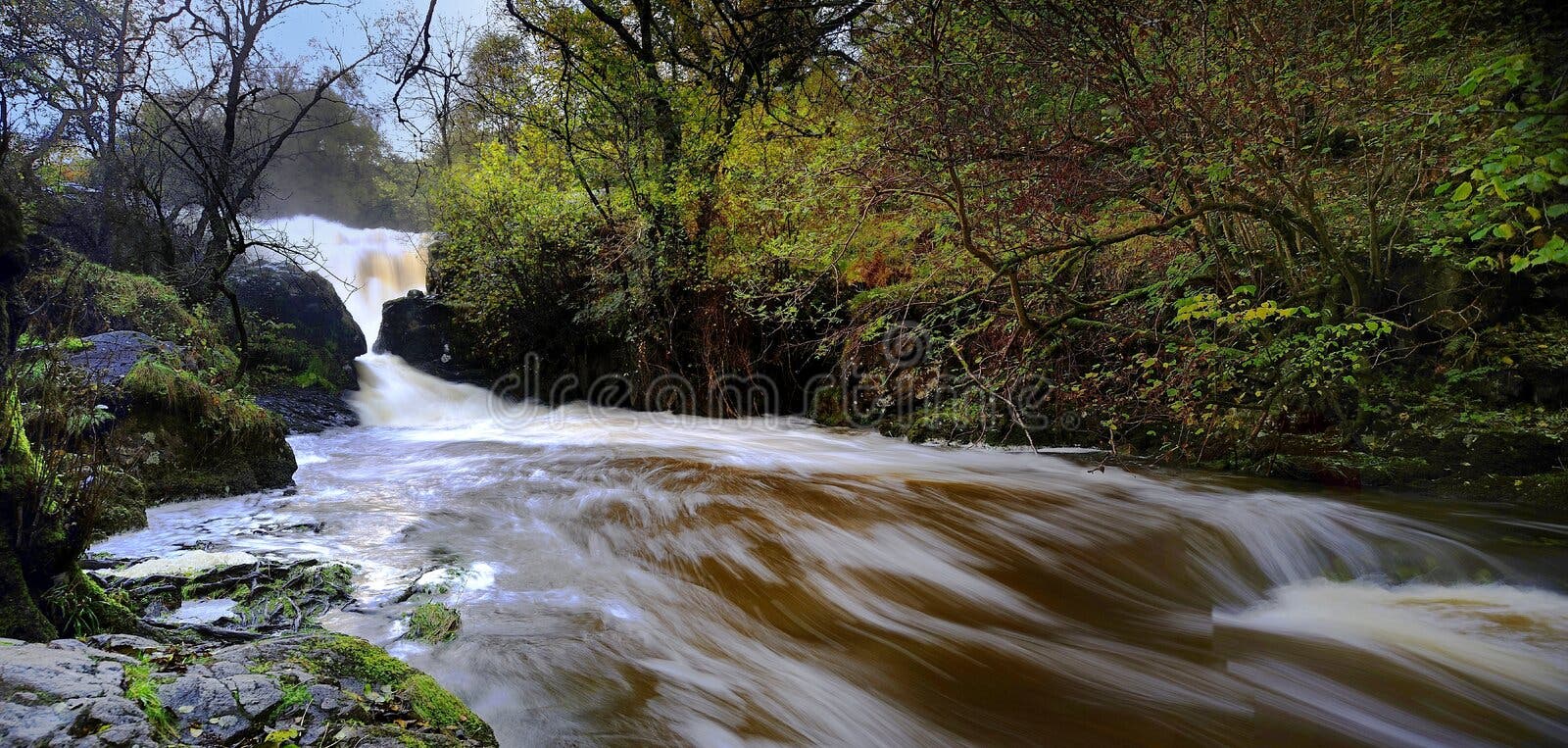 Friend/enemy stock photo. Image of alignment, paper, disagreement ...