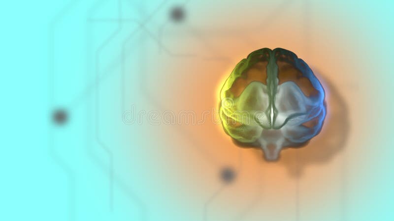 High-functioning Brain Processing Information Inside a Transparent ...