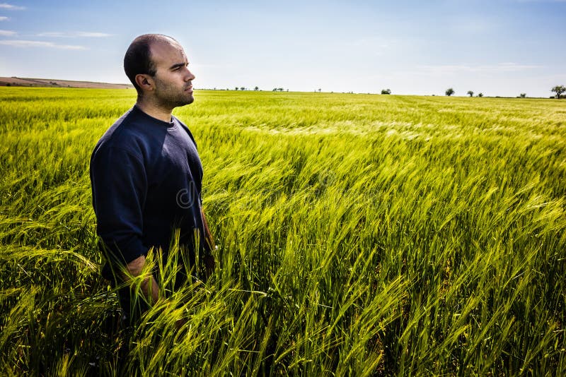High grass stock image. Image of freedom, adult, lifestyle - 38761291