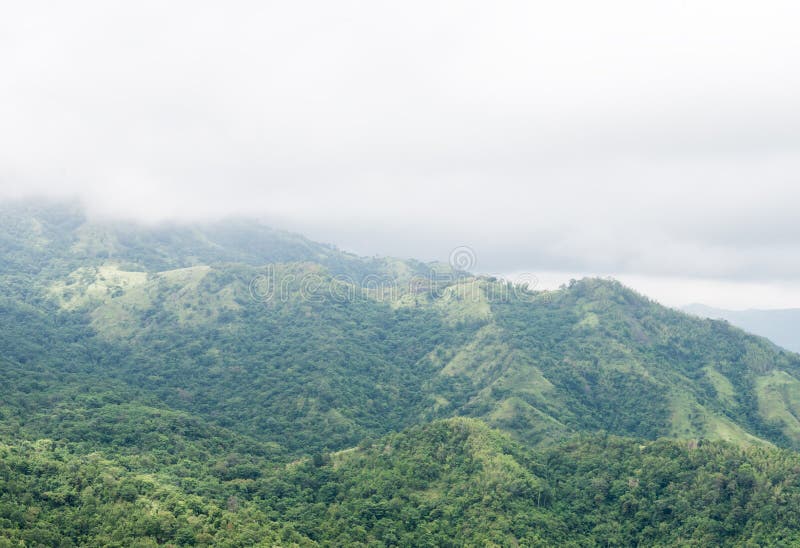 High green mountain stock photo. Image of heaven, landscape - 58142570