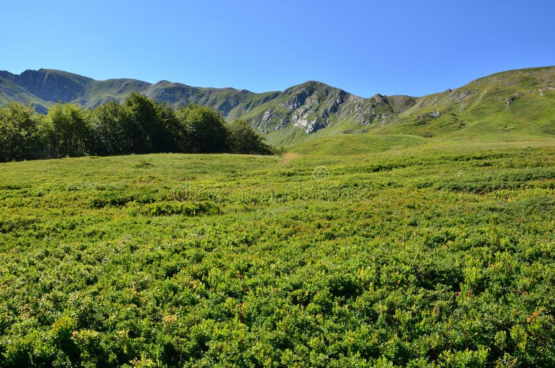 High plateau stock photo. Image of plateau, giant, path - 198485622