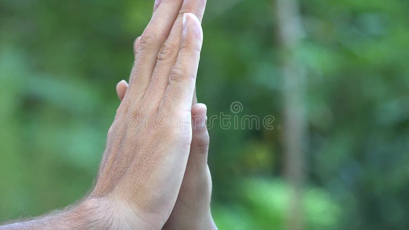 High 5, Hand Slap stock footage. Video of human, hand - 50223744