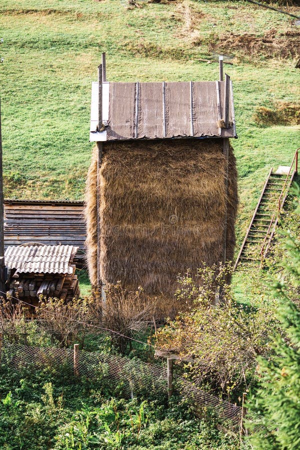 High Hayloft with Dry Hay. Agriculture Stock Image - Image of grass ...