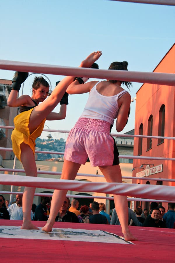 High kick editorial stock image. Image of fight, kick - 9395814