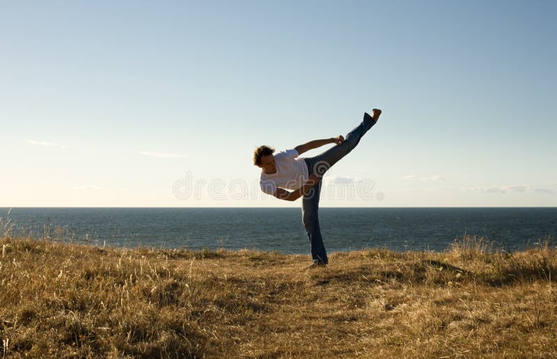 High-kick stock photo. Image of capoeira, kungfu, kempo - 42071606