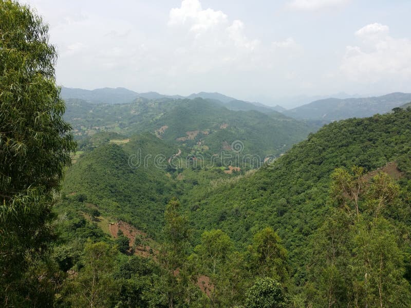 High lands stock image. Image of tigers, deep, nature - 101465331