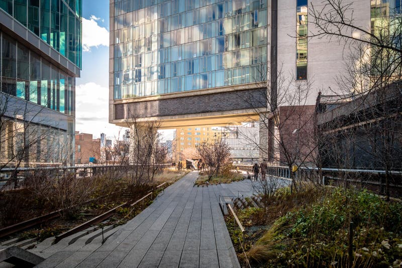 High Line Park - New York, USA Stock Image - Image of green, chelsea ...