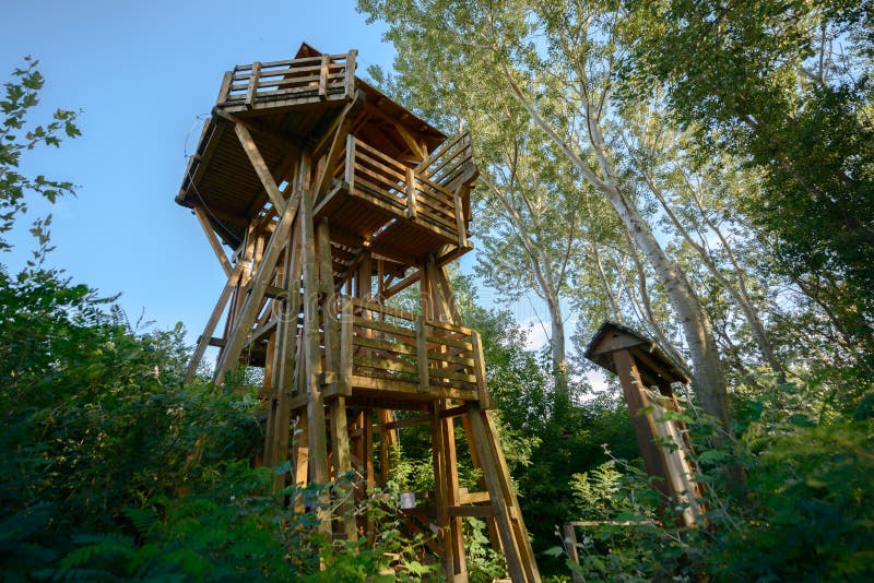 High Lookout Tower in the Forest Stock Image - Image of tower ...