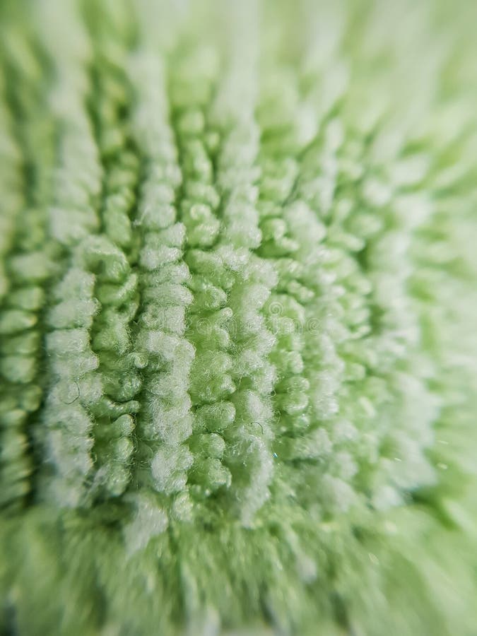 High Magnification Macro of Green High Absorbent Fabric or Carpet Stock ...