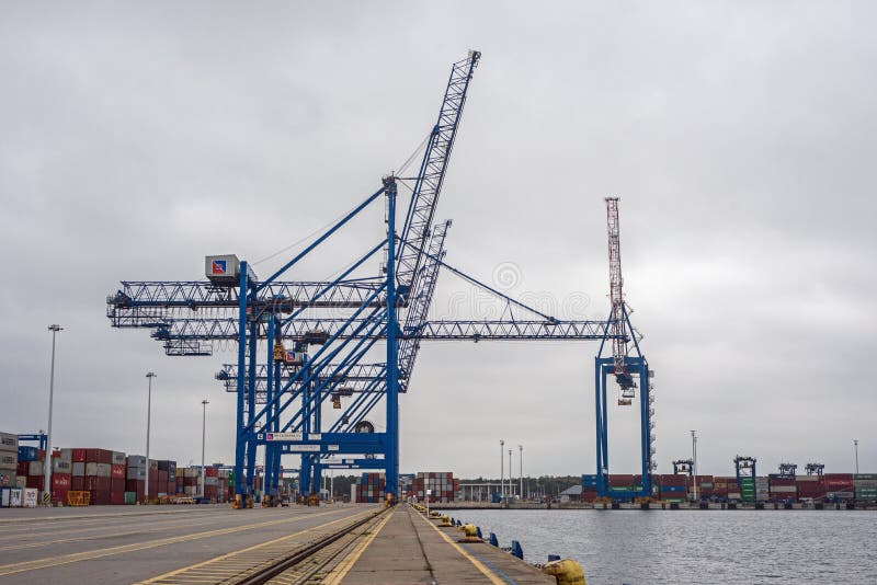 Blue Cranes stock image. Image of proud, cape, habitat - 4515065