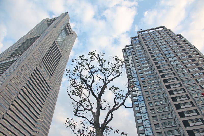 High modern skyscrapers stock image. Image of facade - 12424809