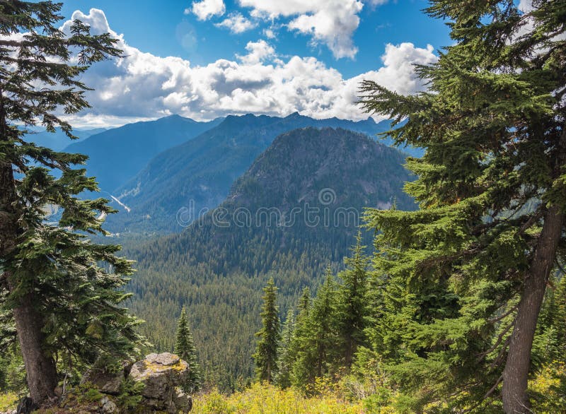 High Mountain Covered with Trees Stock Image - Image of environment ...
