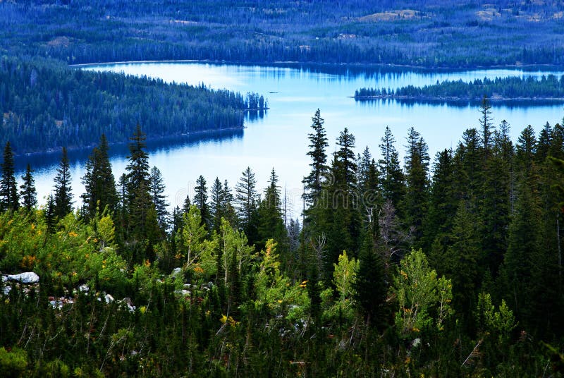 High Mountain Lake Environment Clear Pure Water and Forest Stock Photo ...