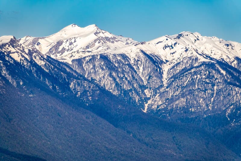High Mountain Range with Forested Slopes and Snowy Peaks Stock Image ...