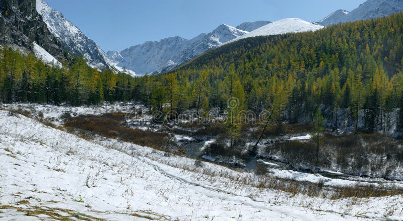High-mountainous valley. stock image. Image of altai, wood - 9606479