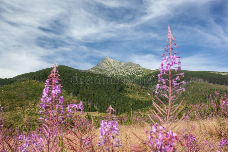 High Mountains - Krivan, High Tatra Stock Image - Image of hills, stone ...