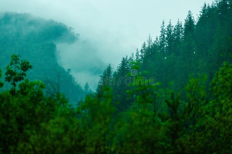 High Mountains in Spring with Fog Stock Photo - Image of hill, nature ...
