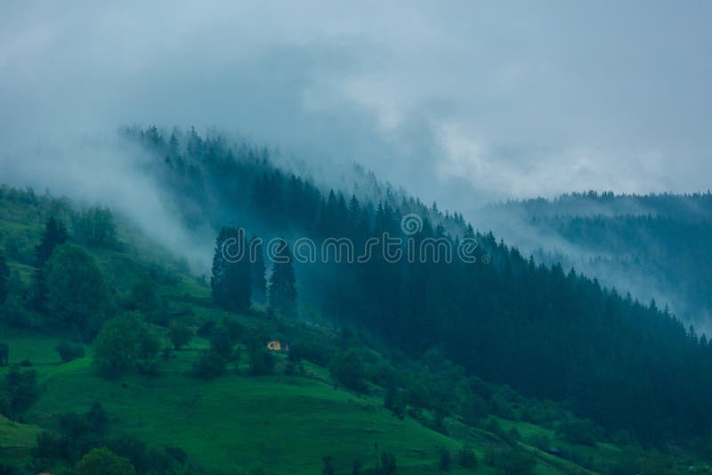 High Mountains in Spring with Fog Stock Photo - Image of mist, forest ...