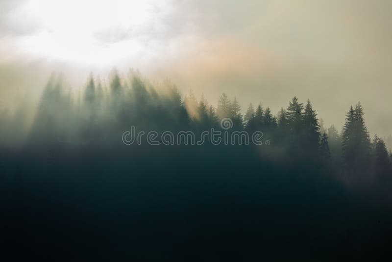 High Mountains in Spring with Fog Stock Photo - Image of bulgarian ...