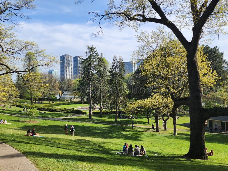 High Park in Toronto stock photo. Image of green, toronto - 278349546