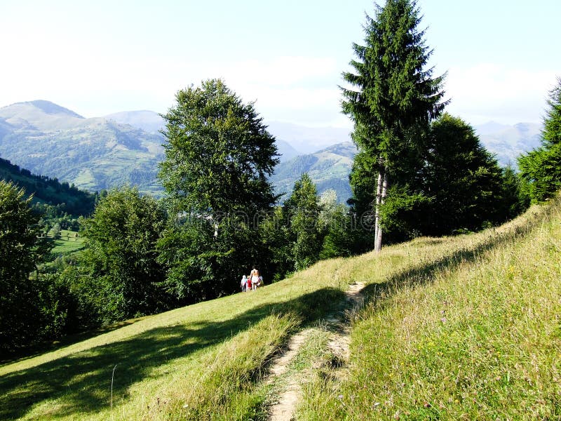 The Path Picture. Image: 5212298