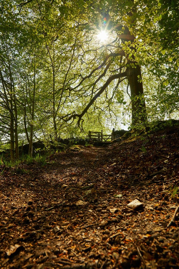 High Peak Walk Pathway Pretty Scene Stock Photo - Image of pretty ...