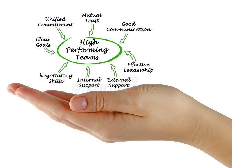 High Performing Teams stock photo. Image of female, person - 128869860