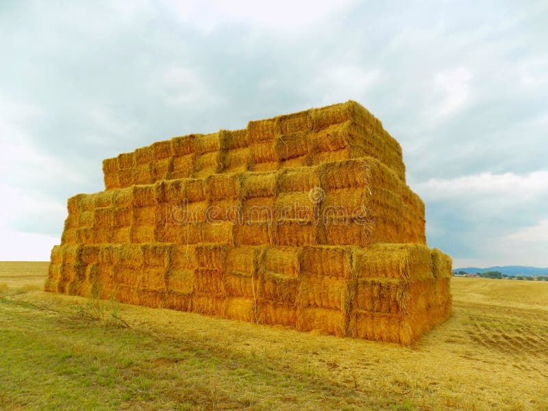 High pile of hay bales stock photo. Image of organic - 65688320