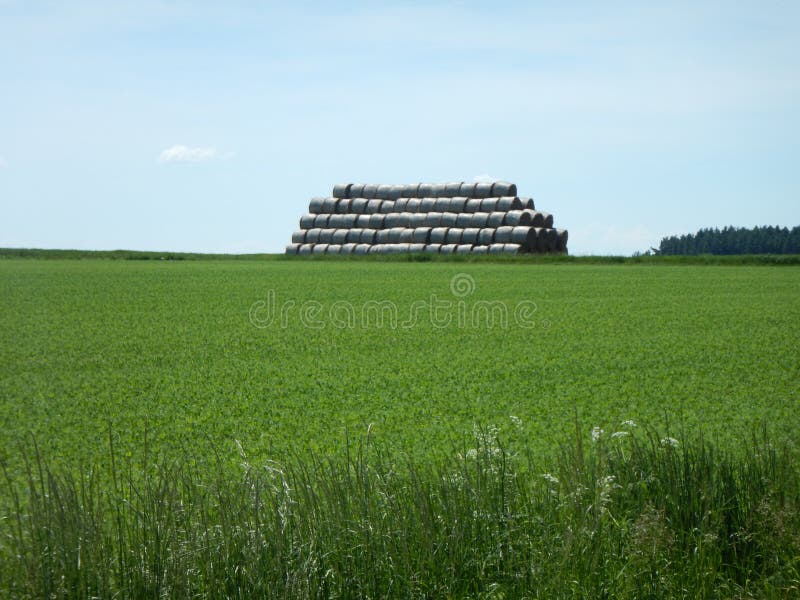 High Pile of Hay Stock in a Green Field Stock Image - Image of pile ...
