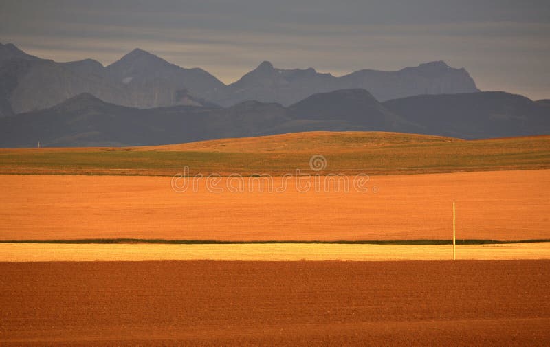 High Plains of Alberta stock photo. Image of scenic, digital - 15786790