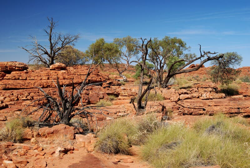 High Plateau of Kings Canyon Stock Image - Image of rugged, extreme ...
