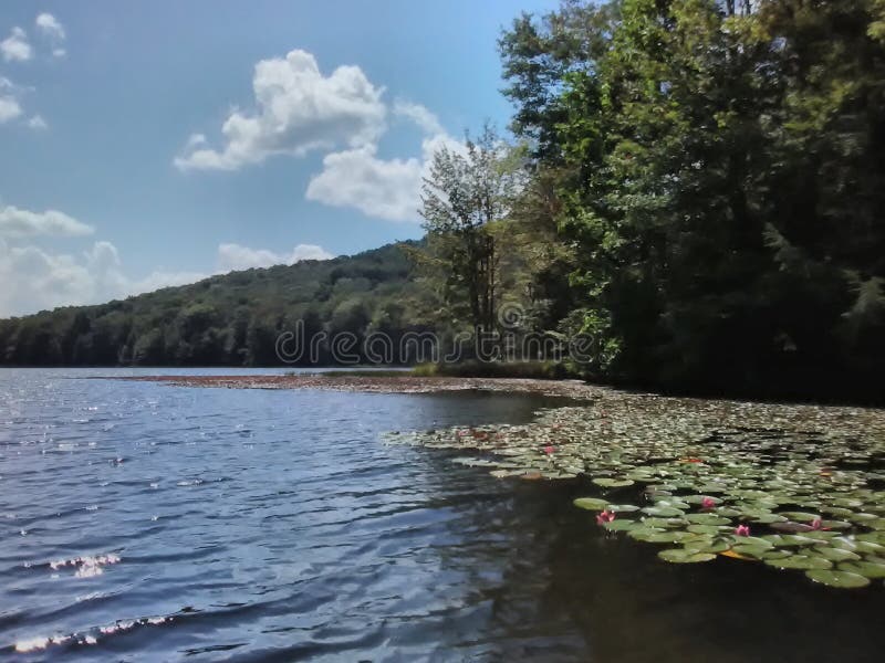 High point stock image. Image of wetland, reservoir, river - 99017489