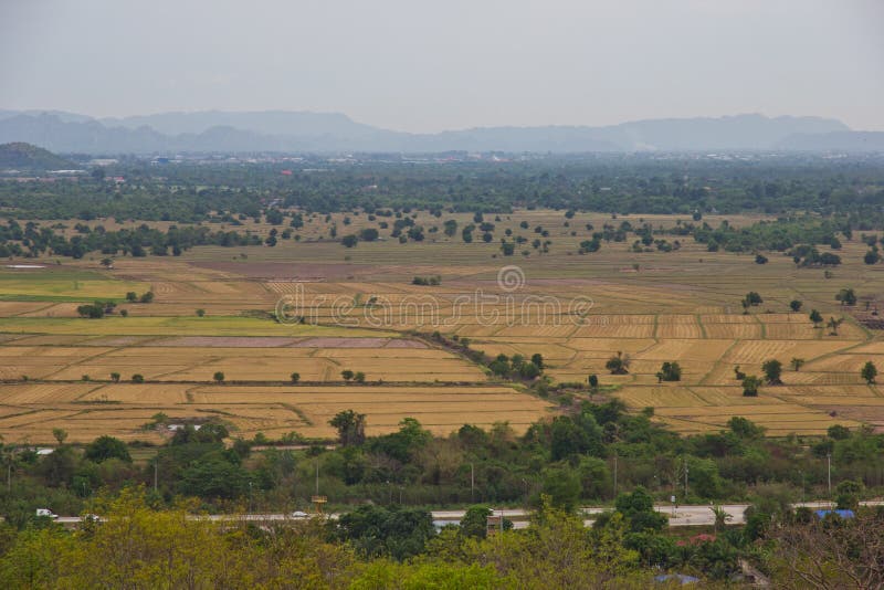 High point view farm rice stock photo. Image of angle - 33441982