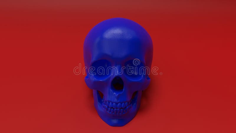 High Poly Anatomically Correct Render of Human Skull Stock Illustration ...
