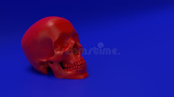 High Poly Anatomically Correct Render of Human Skull Stock Illustration ...