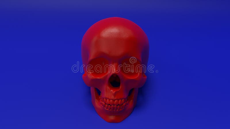 High Poly Anatomically Correct Render of Human Skull Stock Illustration ...