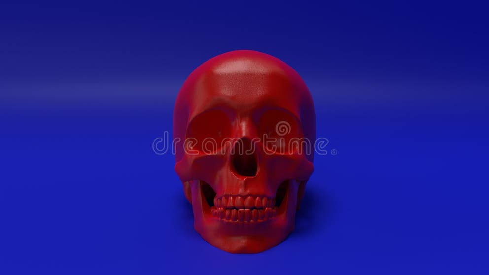 High Poly Anatomically Correct Render of Human Skull Stock Illustration ...