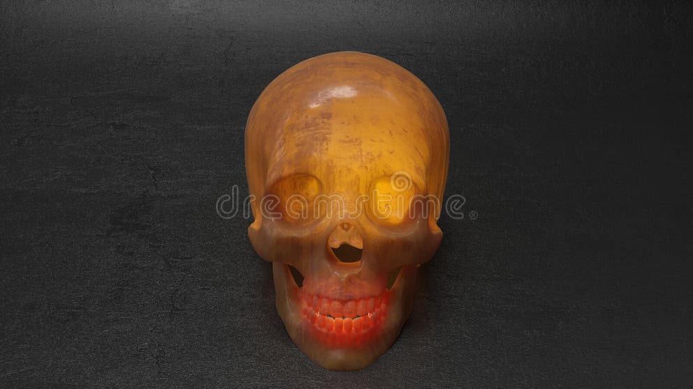 High Poly Anatomically Correct Render of Human Skull Stock Illustration ...