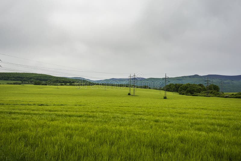 High Power Electric Poles in the Green Field Stock Image - Image of ...