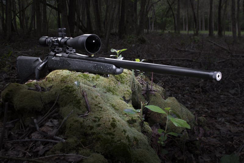 High Powered Rifle in a Forest Stock Photo - Image of grey, glass ...