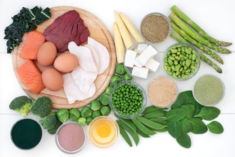 High Protein Food Collection Stock Photo - Image of hemp, dieting ... High Protein Food Collection Stock Photo - Image of hemp, dieting ...