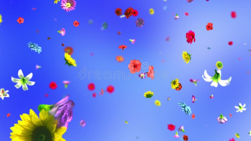 Exploding colorful flowers stock footage. Video of backgrounds - 151288932