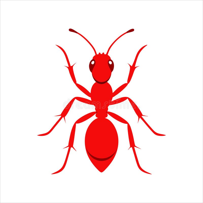 Ant Head Vector Illustration on White Background High-Quality Insect ...