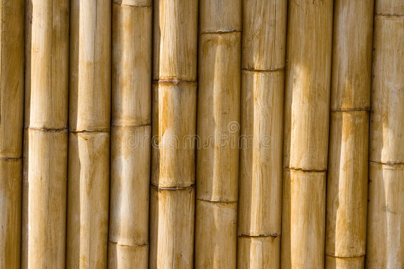 High Quality Bamboo Texture Stock Photo - Image of tile, wood: 2146370
