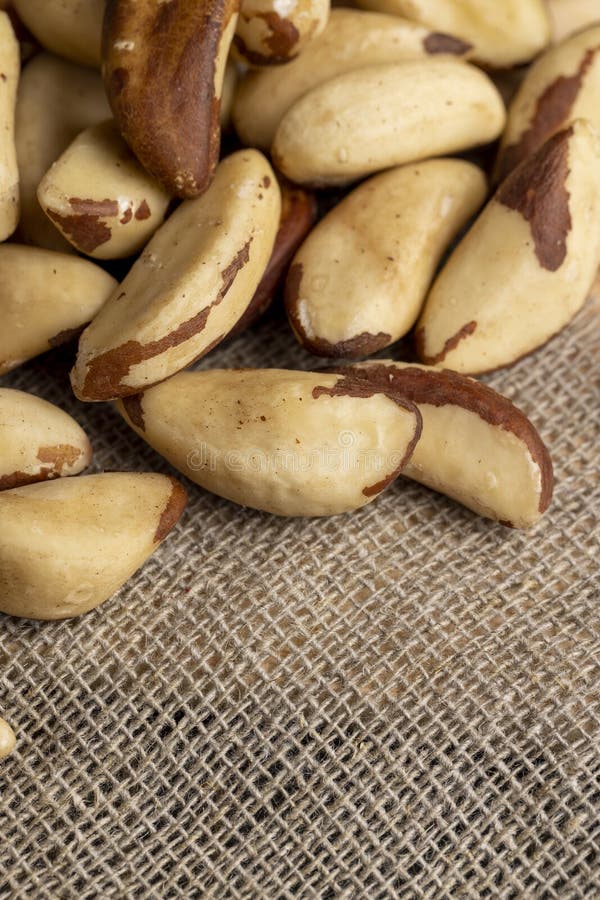 High-quality Brazil Nuts Peeled from the Shell on the Table Stock Image ...