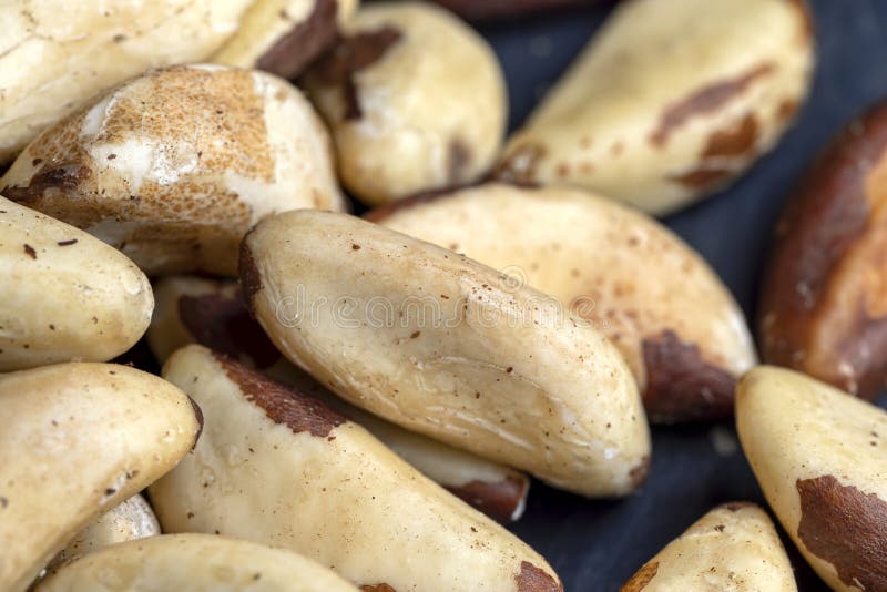 High-quality Brazil Nuts Peeled from the Shell on the Table Stock Photo ...