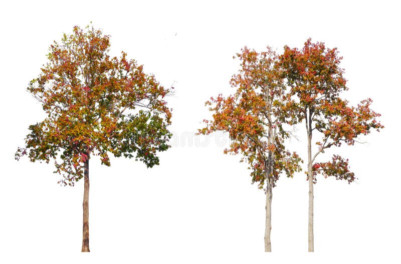 Drag Drop Handbag Template Stock Photos - Free & Royalty-Free Stock ...